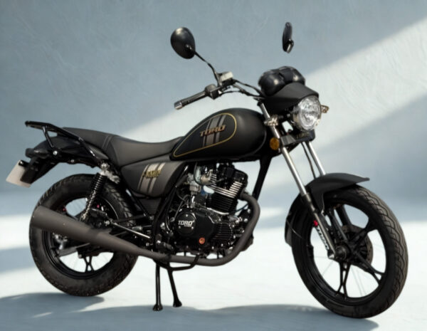 Toro Leon TR200 2026 - ¡Obtén Precios y Ficha Técnica Ya!