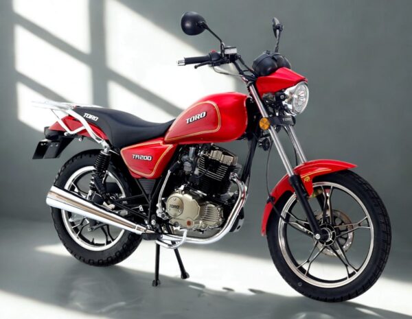 Toro Leon TR200 2025 - ¡Obtén Precios y Ficha Técnica Ya!