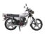 Motos Escuda 2026 - Precios, catálogo y características