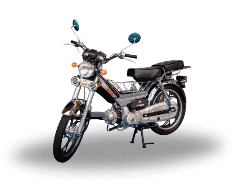 Bera BWS 2025 en Venezuela - Precios y características