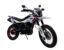 Toro Rex TR250 2026 - ¡Obtén Precios y Ficha Técnica ya!